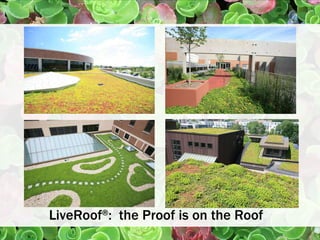 LiveRoof® Hybrid Green Roofs | PPT