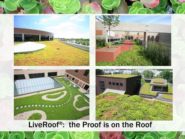 LiveRoof® Hybrid Green Roofs | PPT