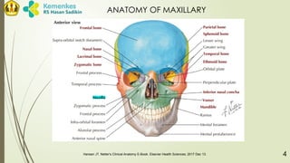 LR - TRAUMA OF MAXILLARY SINUSSSSSS.pptx