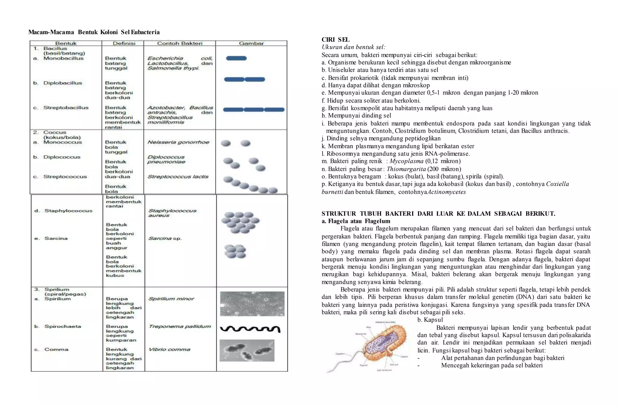 Modul Pengertian EUBACTERIA dan ARCHAEBACTERIA Full | PPT