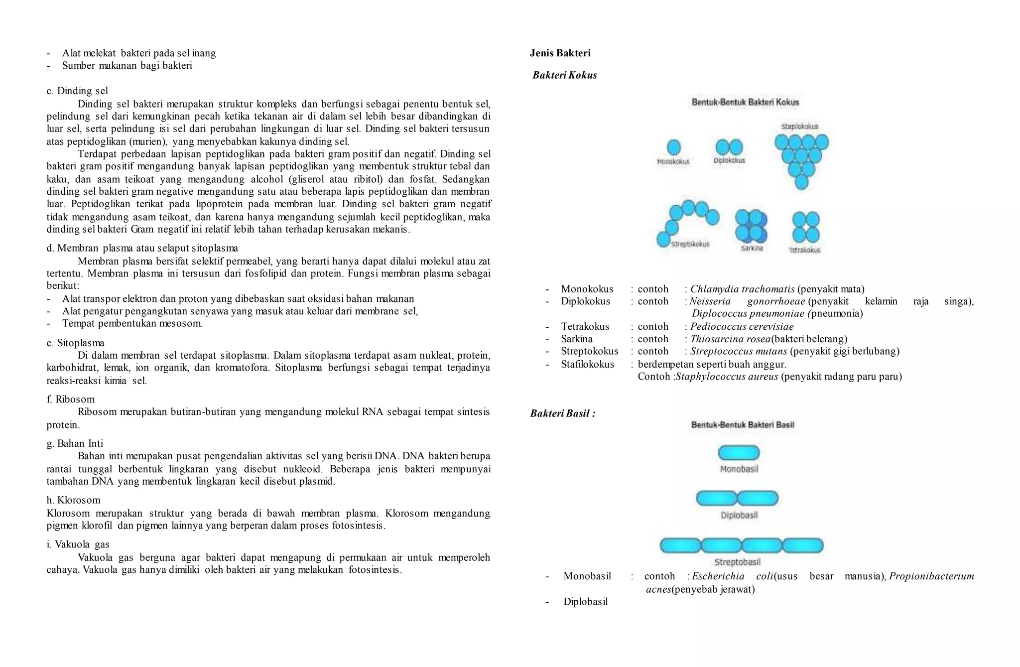 Modul Pengertian EUBACTERIA dan ARCHAEBACTERIA Full | PPT