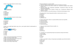 Modul Pengertian EUBACTERIA dan ARCHAEBACTERIA Full | PPT