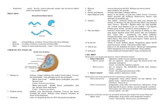 Modul Pengertian EUBACTERIA dan ARCHAEBACTERIA Full | PPT