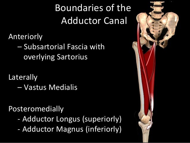 Slideshow: Adductor Canal