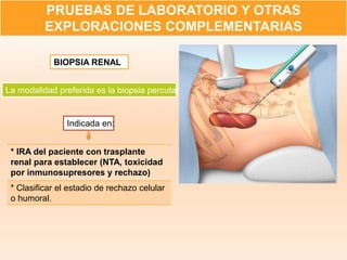 Insuficencia renal aguda (IRA) | PPTX