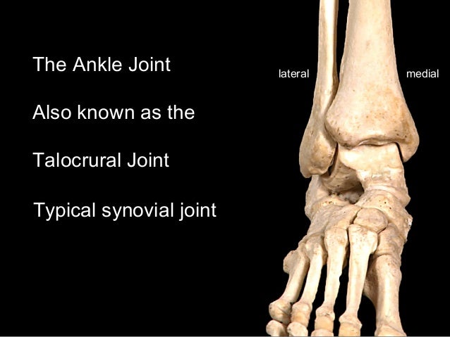Slideshow: Ankle Joint