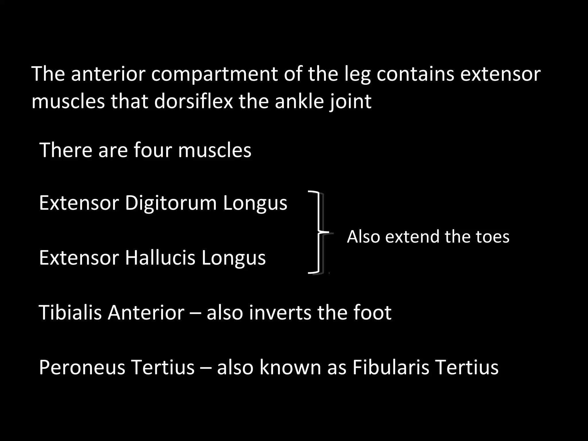 Slideshow: Anterior Leg | PPT