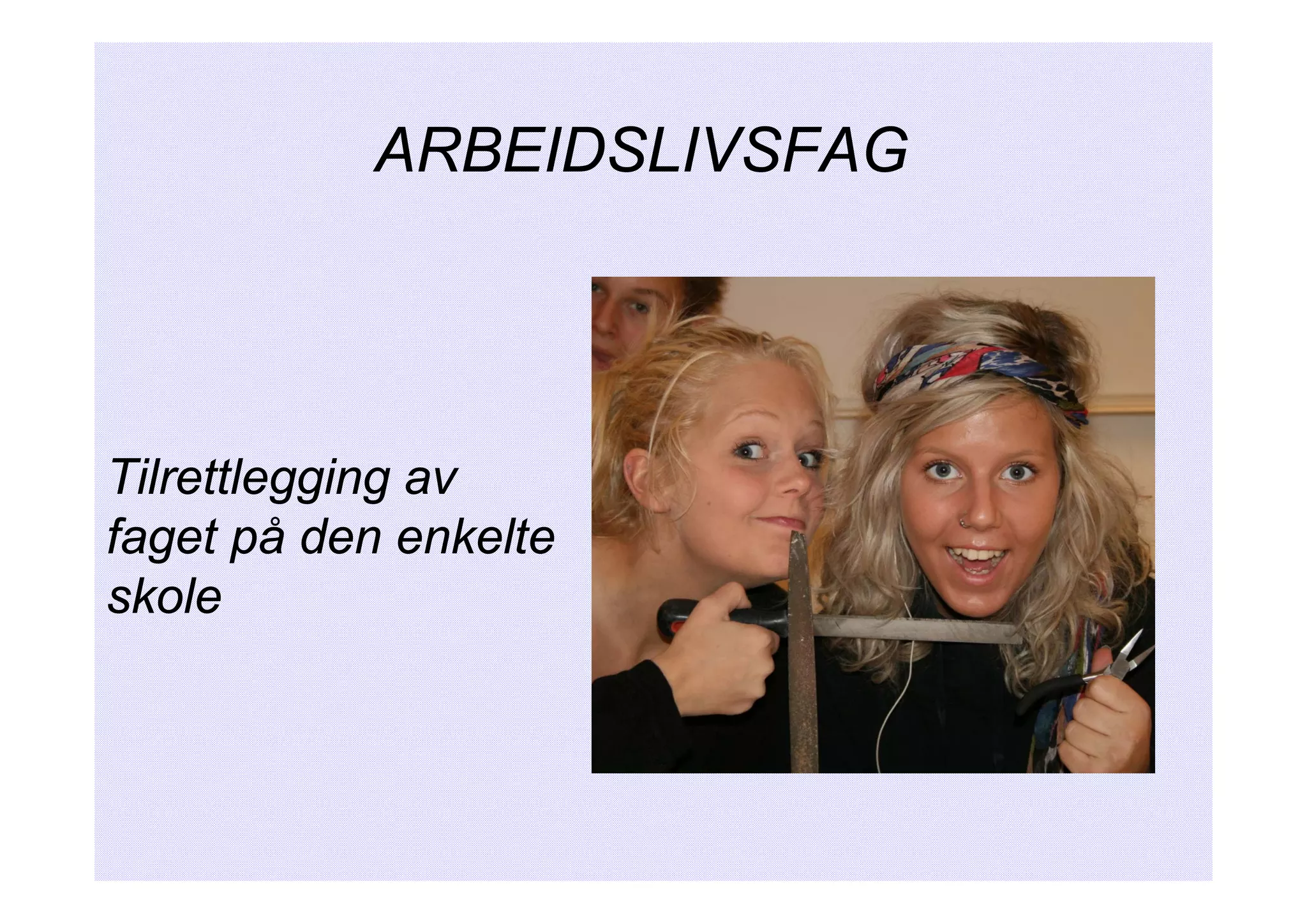 Arbeidslivsfag: Læreplan og veileder | PDF