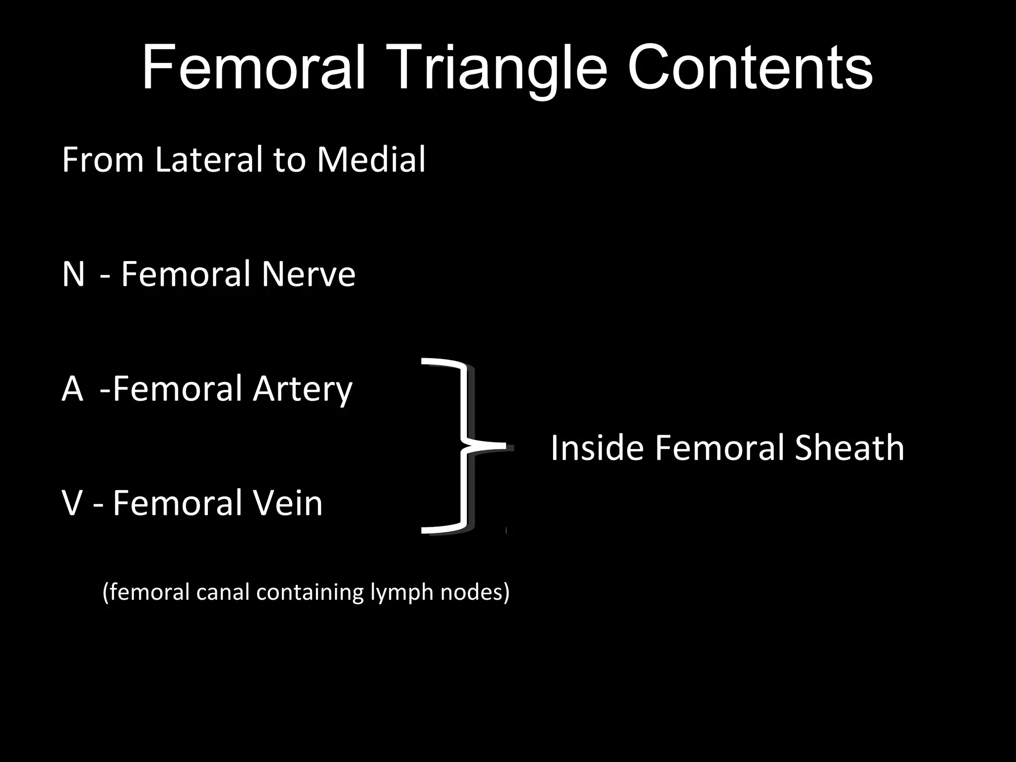 Slideshow: Femoral Triangle | PPT