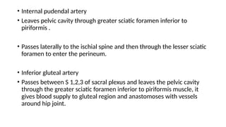 internal_iliac_artery ligation.pptx basics | PPTX