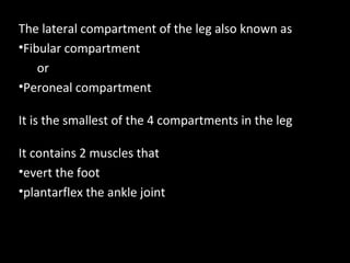 Slideshow: Lateral Leg | PPT