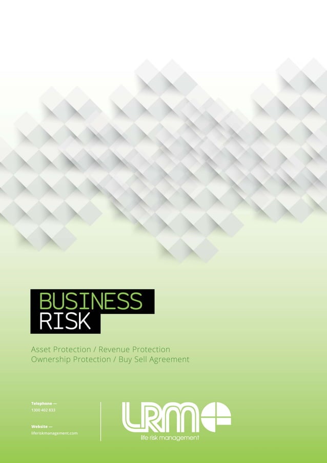 Business Risk Management | PDF