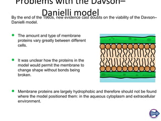 Plasma membrane | PPT