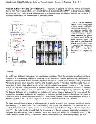 LRP research plan final | PDF | Cancer | Diseases and Conditions