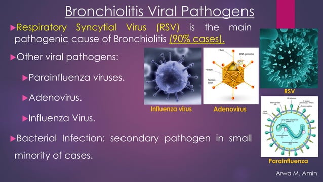 Bronchiolitis: An overview | PDF | Lung and Respiratory Health ...