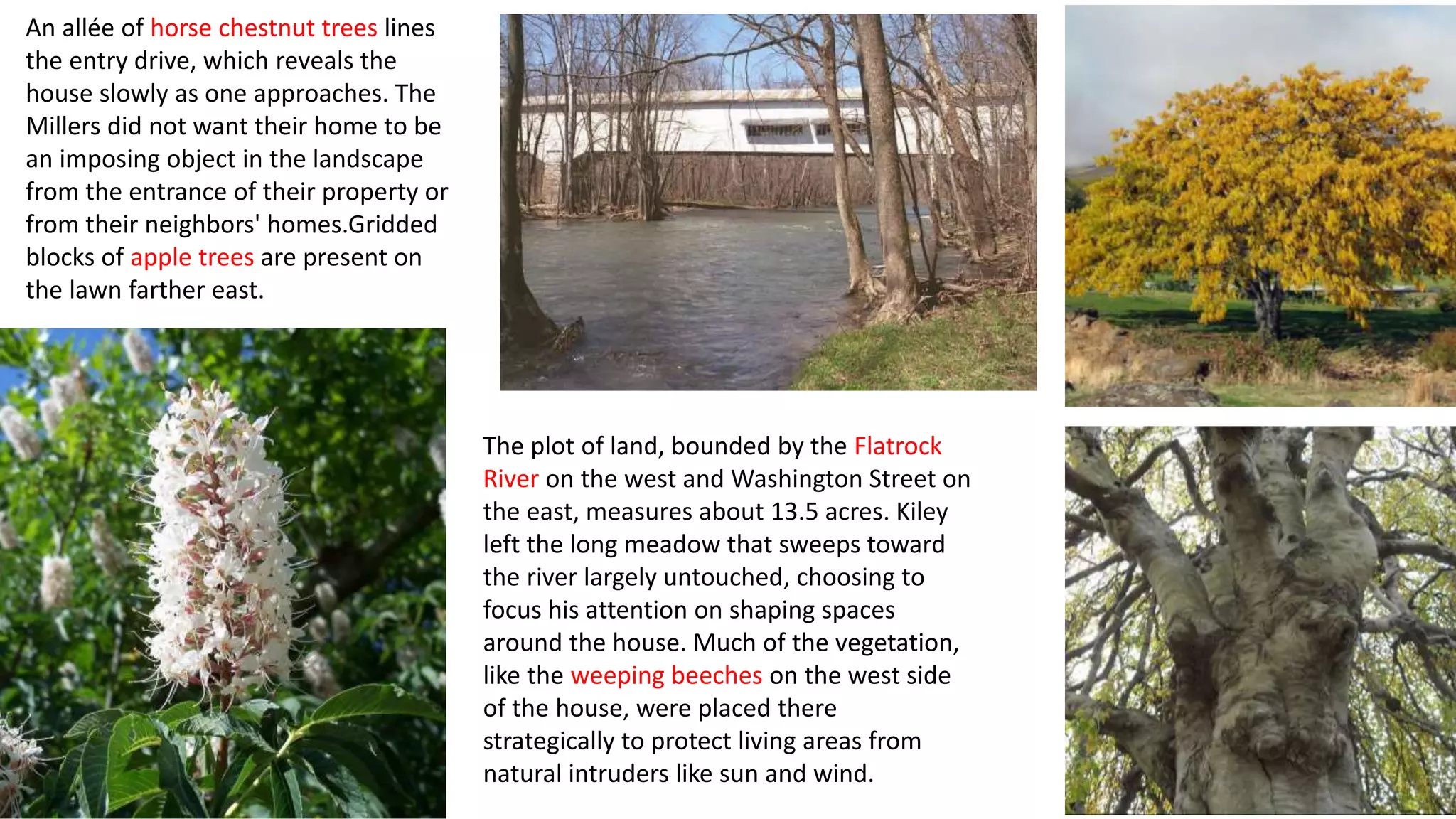 CASE STUDY-LANDSCAPE | PPTX