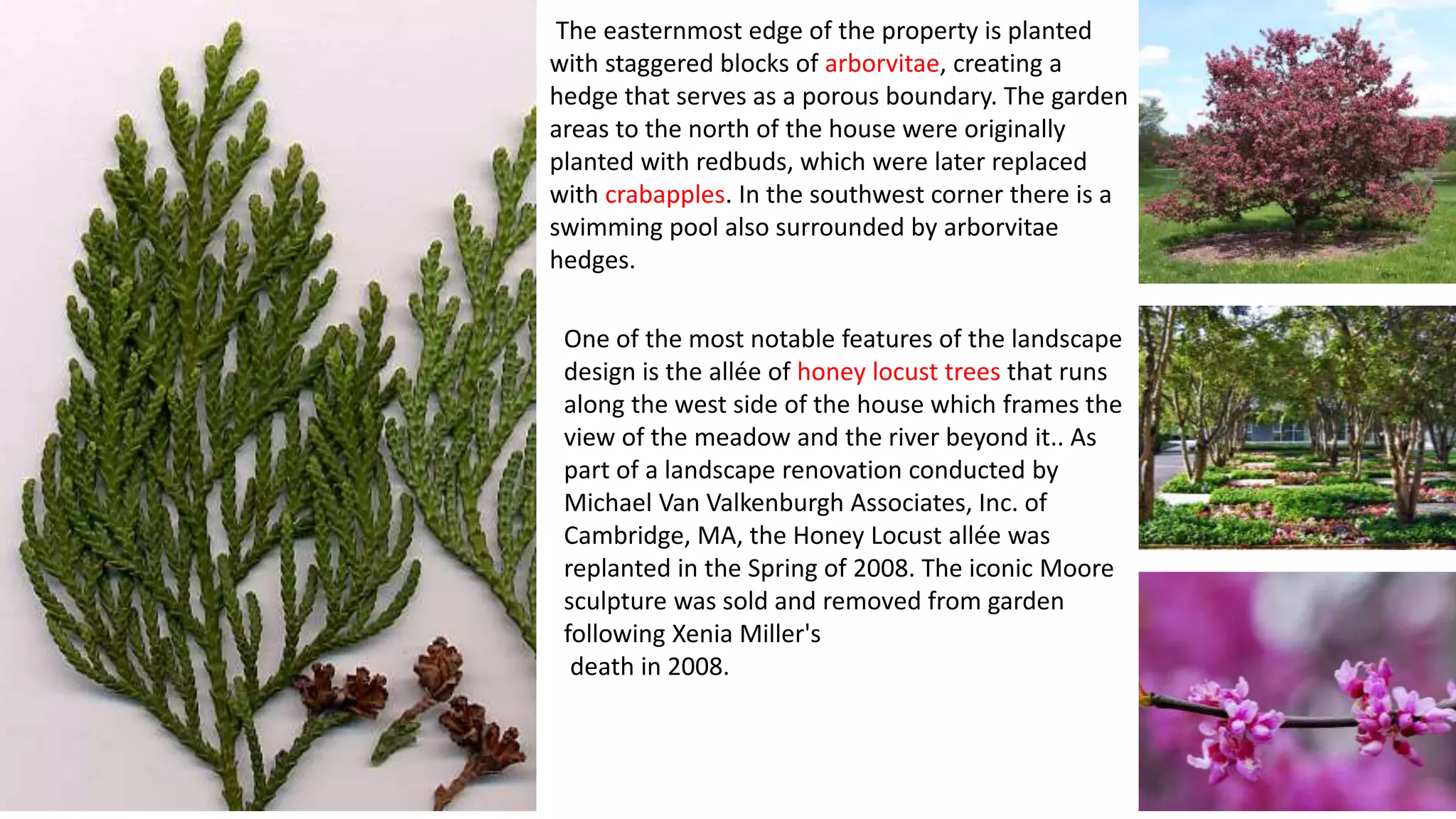 CASE STUDY-LANDSCAPE | PPTX