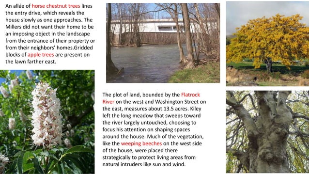 CASE STUDY-LANDSCAPE | PPTX | Parks | Attractions