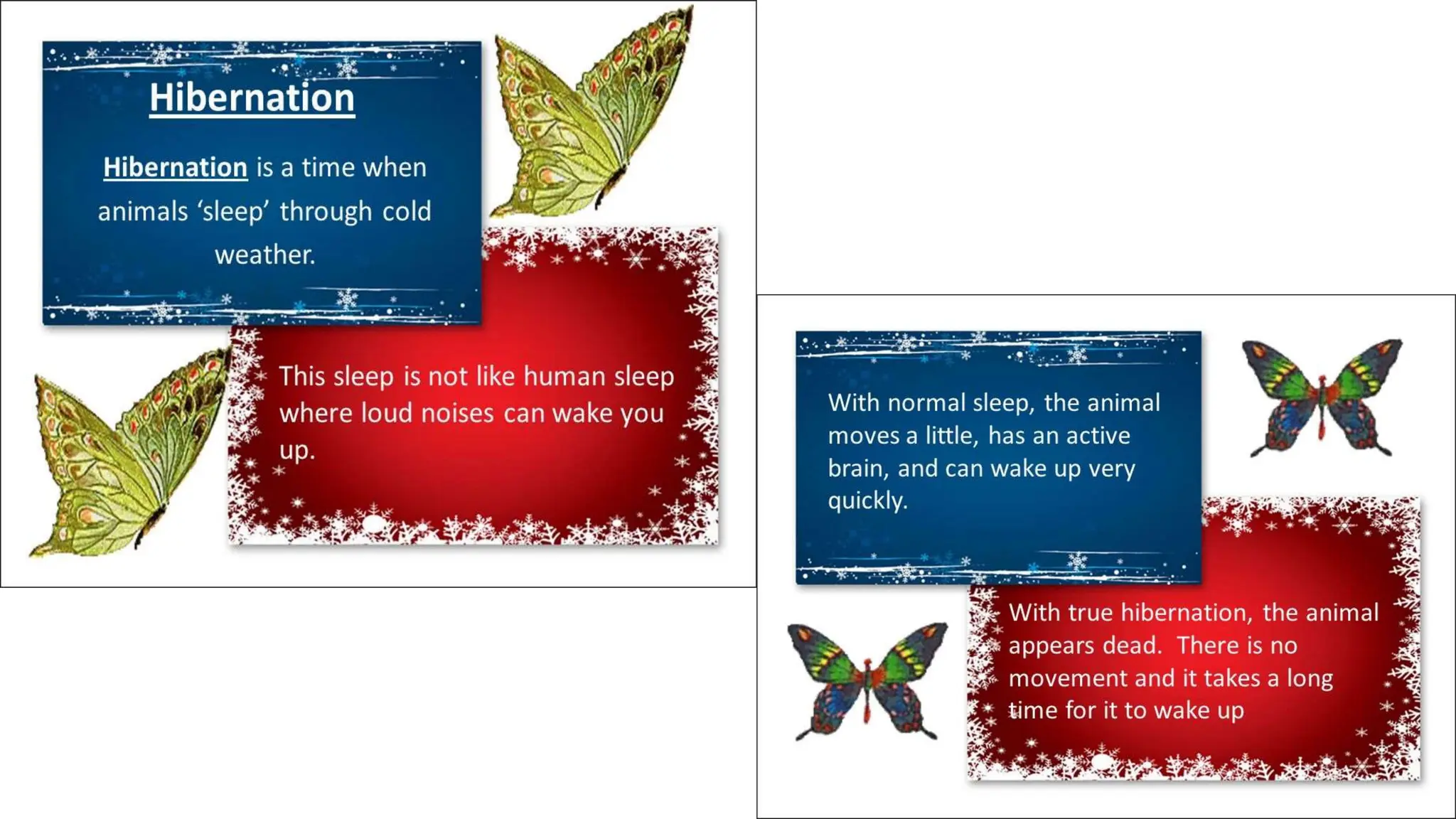 Ls.4 Adaptations and Behaviour of Animals.pptx