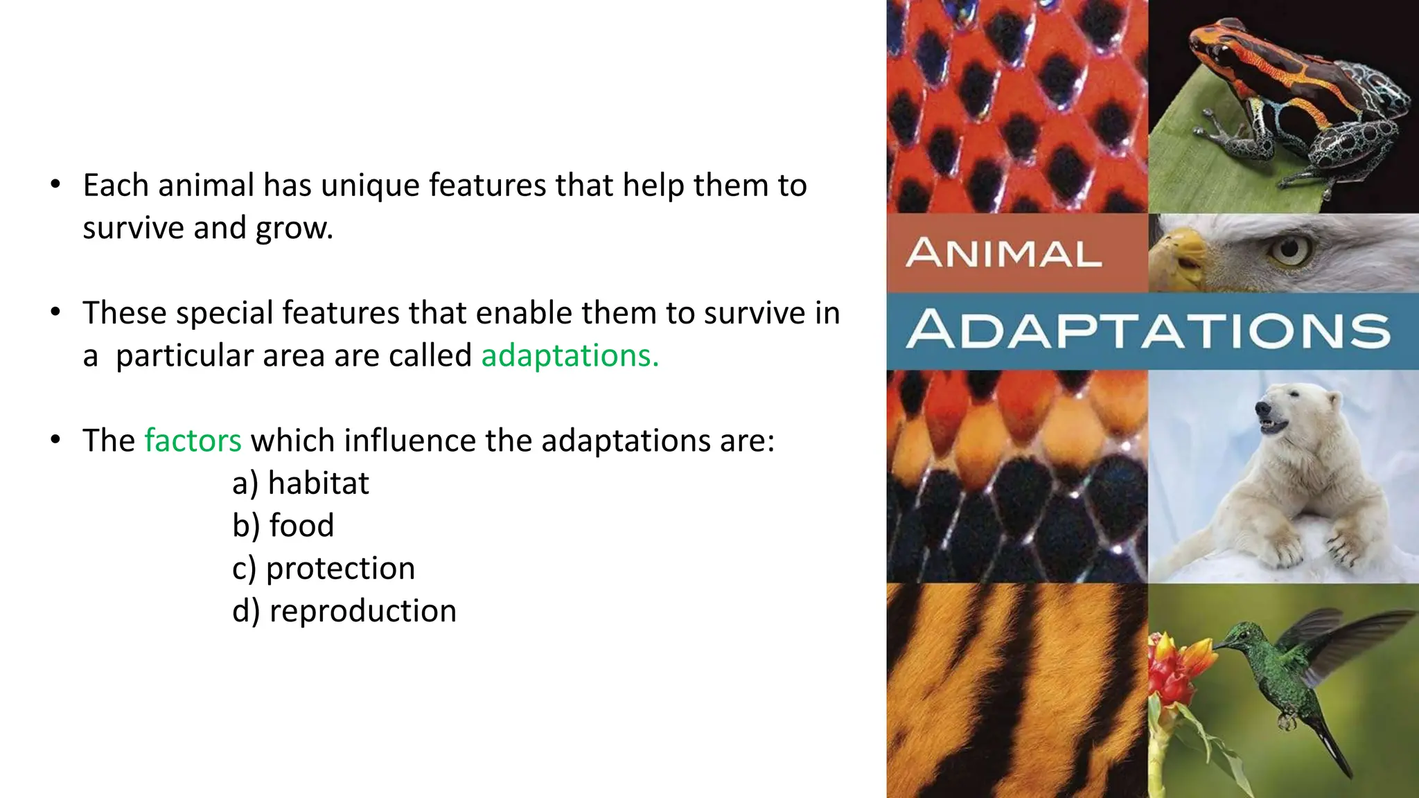 Ls.4 Adaptations and Behaviour of Animals.pptx