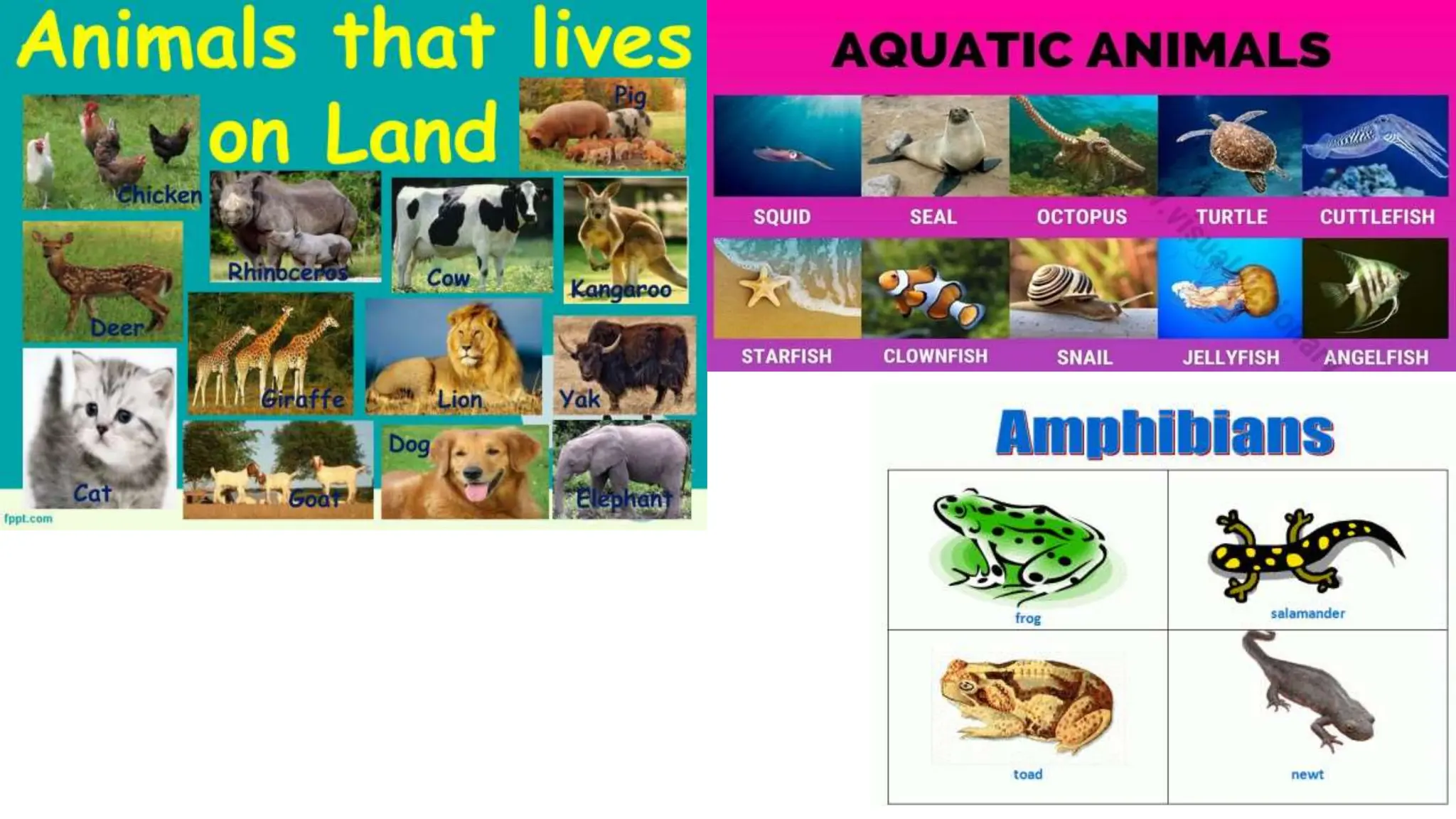 Ls.4 Adaptations and Behaviour of Animals.pptx