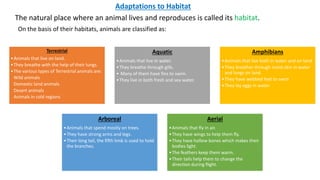 Ls.4 Adaptations and Behaviour of Animals.pptx
