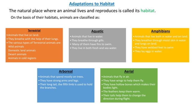 Ls.4 Adaptations and Behaviour of Animals.pptx