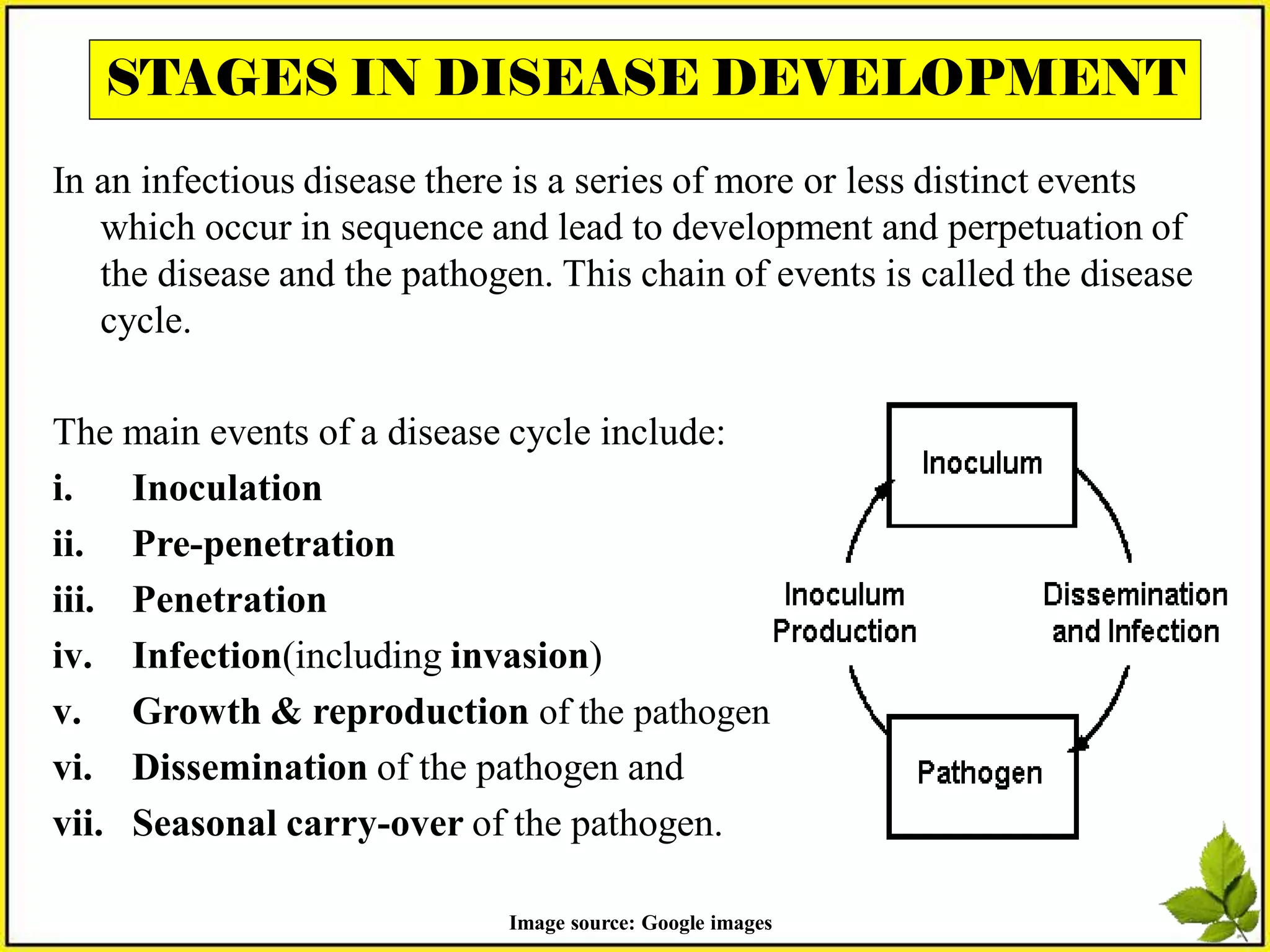 Disease development: Role of enzymes, toxins and growth regulators. | PDF