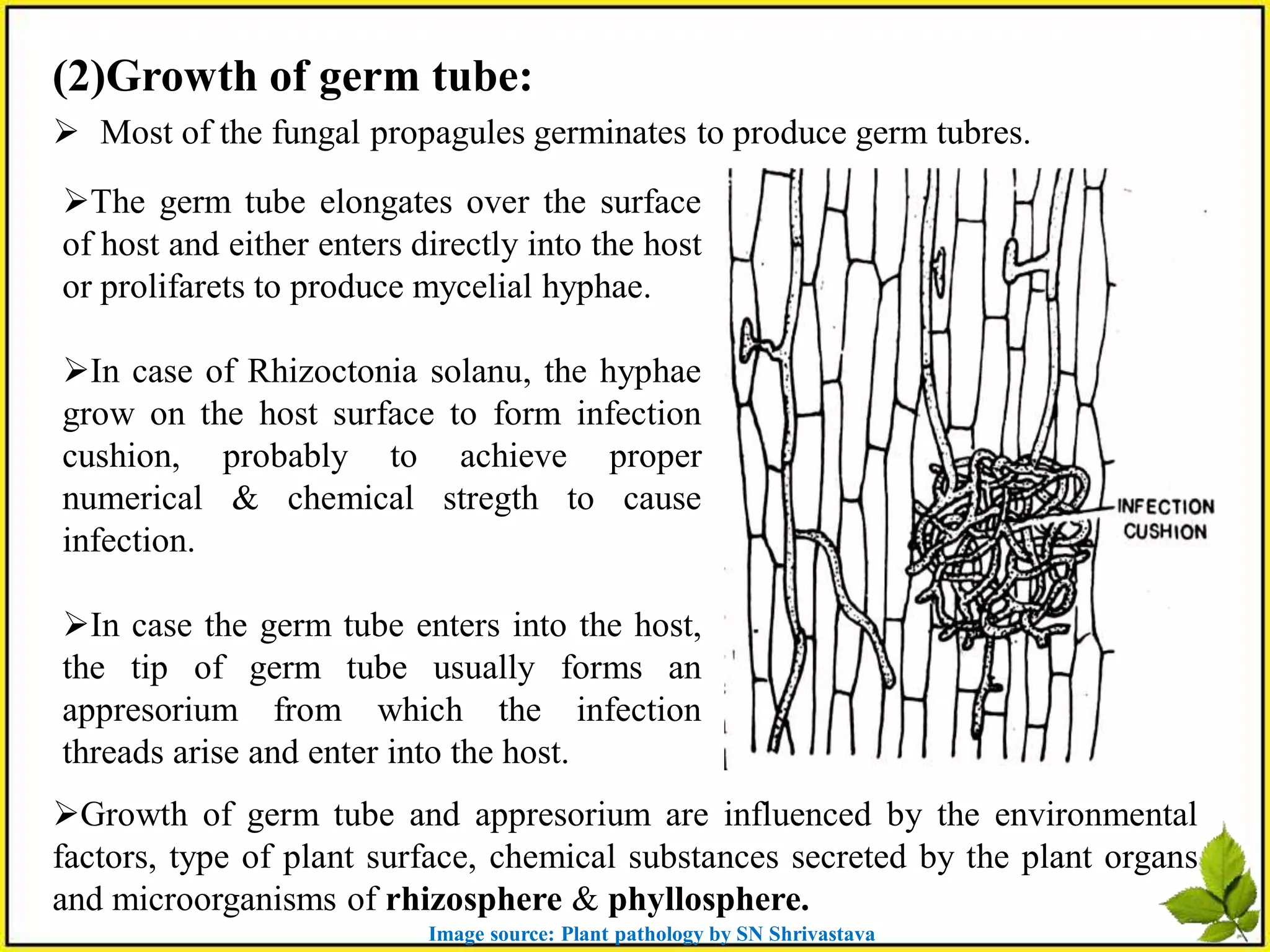 Disease development: Role of enzymes, toxins and growth regulators. | PDF