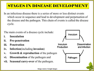 Disease development: Role of enzymes, toxins and growth regulators. | PDF