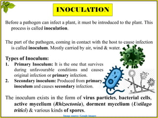 Disease development: Role of enzymes, toxins and growth regulators. | PDF