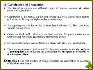 Disease development: Role of enzymes, toxins and growth regulators. | PDF