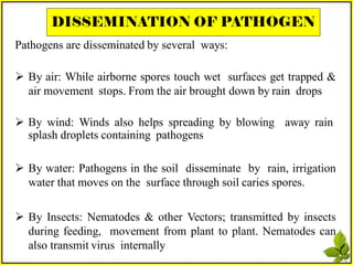 Disease development: Role of enzymes, toxins and growth regulators. | PDF