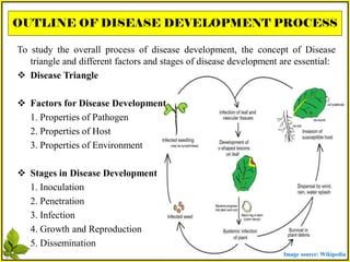 Disease development: Role of enzymes, toxins and growth regulators. | PDF