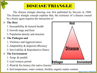 Disease development: Role of enzymes, toxins and growth regulators. | PDF