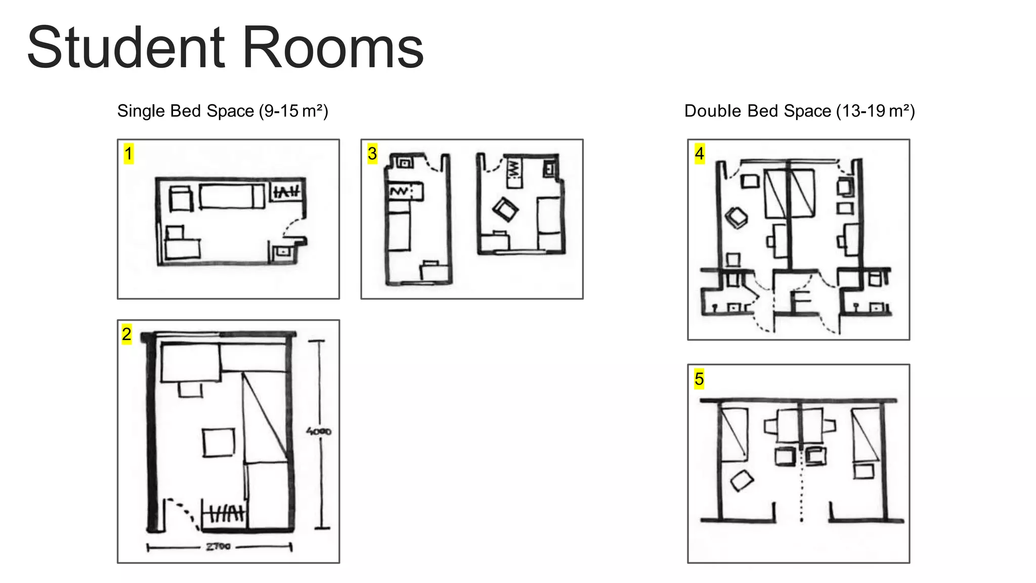 Hostel : Literature Study | PPTX