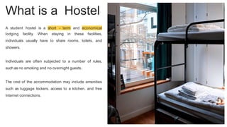 Hostel : Literature Study | PPTX