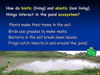 LS ecosystems | PPT