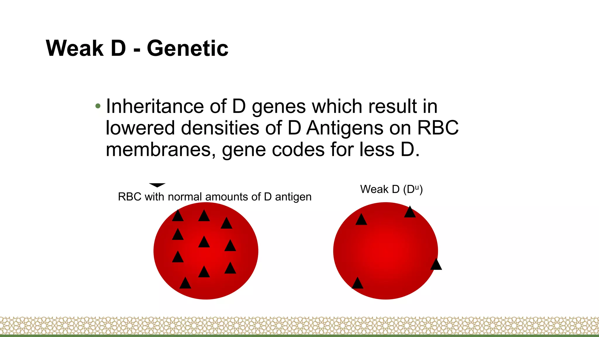 LS-IBB 301 – L4 Rh blood group system.pptx