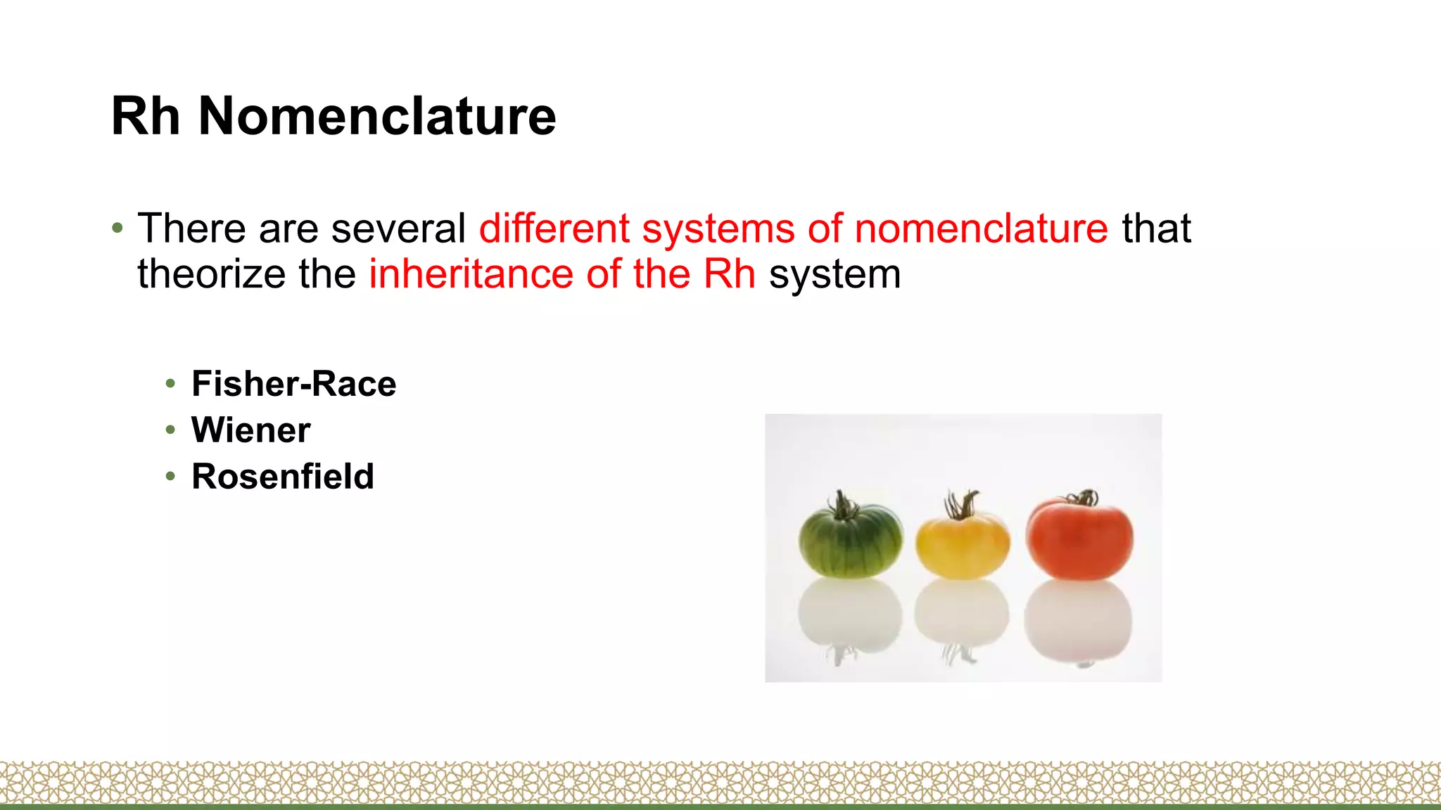 LS-IBB 301 – L4 Rh blood group system.pptx