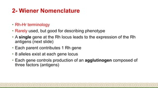LS-IBB 301 – L4 Rh blood group system.pptx