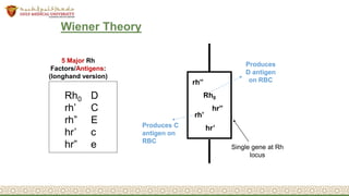 LS-IBB 301 – L4 Rh blood group system.pptx