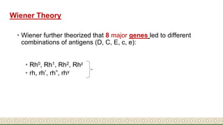 LS-IBB 301 – L4 Rh blood group system.pptx