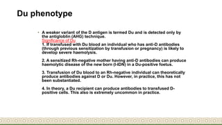 LS-IBB 301 – L4 Rh blood group system.pptx