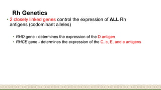LS-IBB 301 – L4 Rh blood group system.pptx