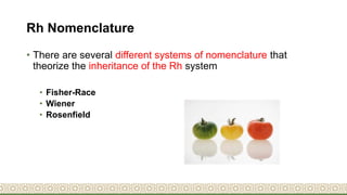 LS-IBB 301 – L4 Rh blood group system.pptx