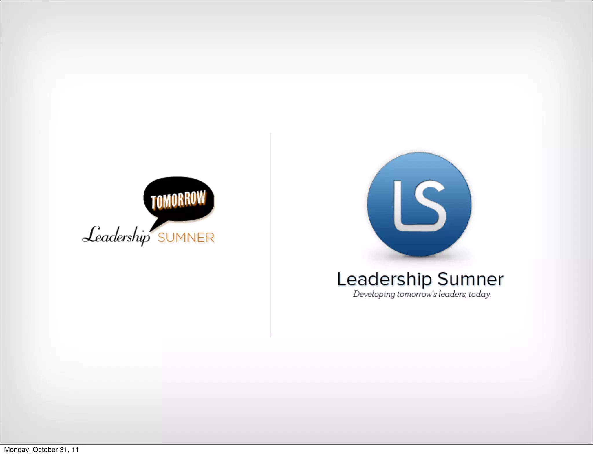 Leadership Sumner - Logo Re-brand | PDF