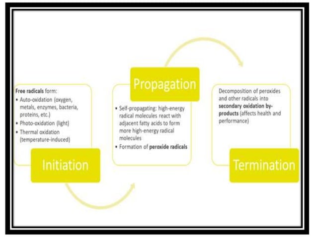 Rancidity – Types, Mechanism, Prevention | PPTX