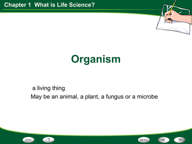 Life Science Chapter 1, Section 2 The Study of Life | PPT