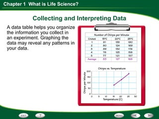 Chapter 1, Section 3 Think Like A Scientist | PPT